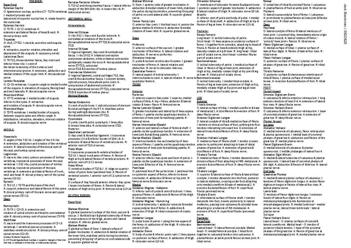 Muscle Anatomy Notes: THIGH, LEG, and BACK (Course Code: ANAT101 ...