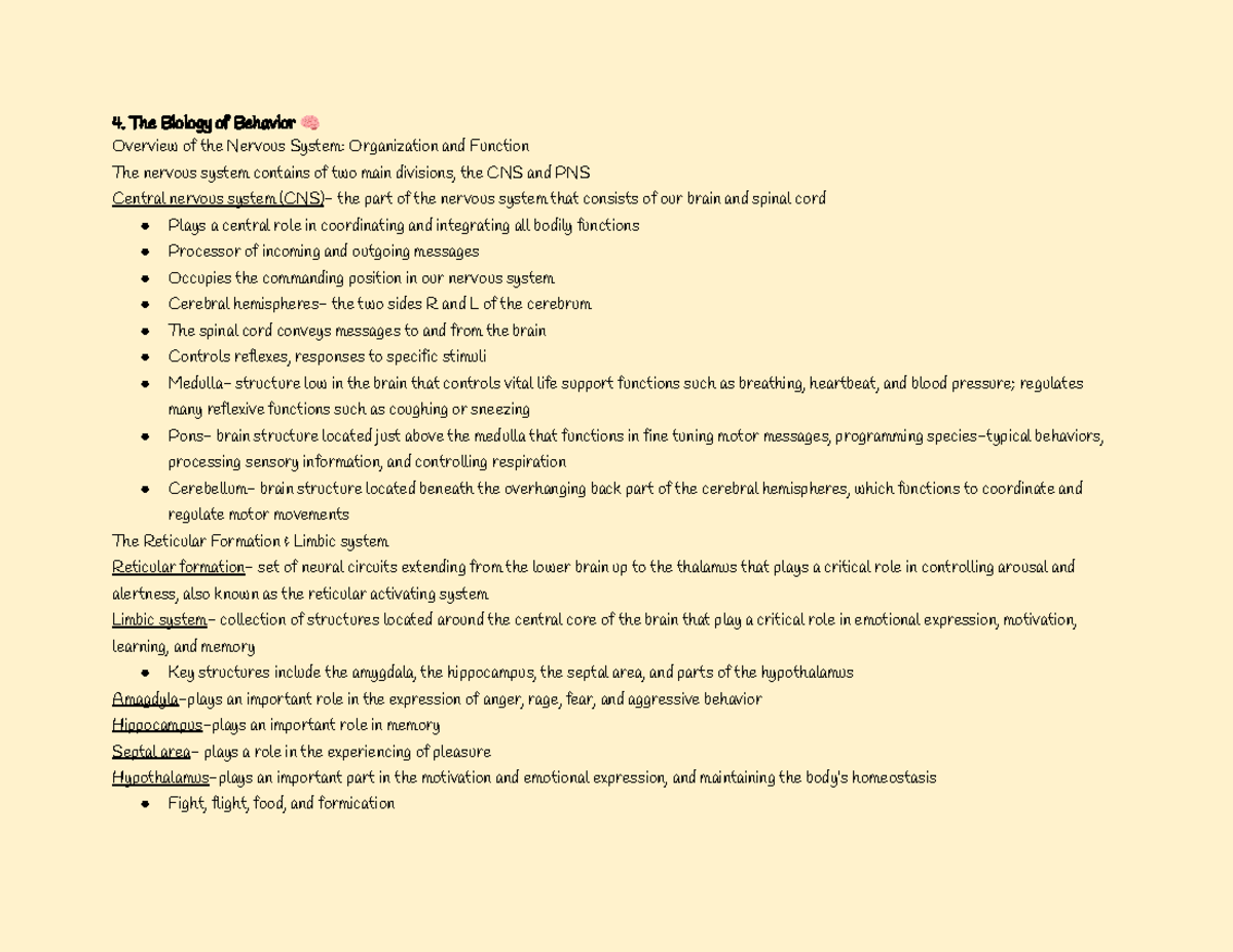 Understanding the Nervous System: Structure, Functions, & Neural ...