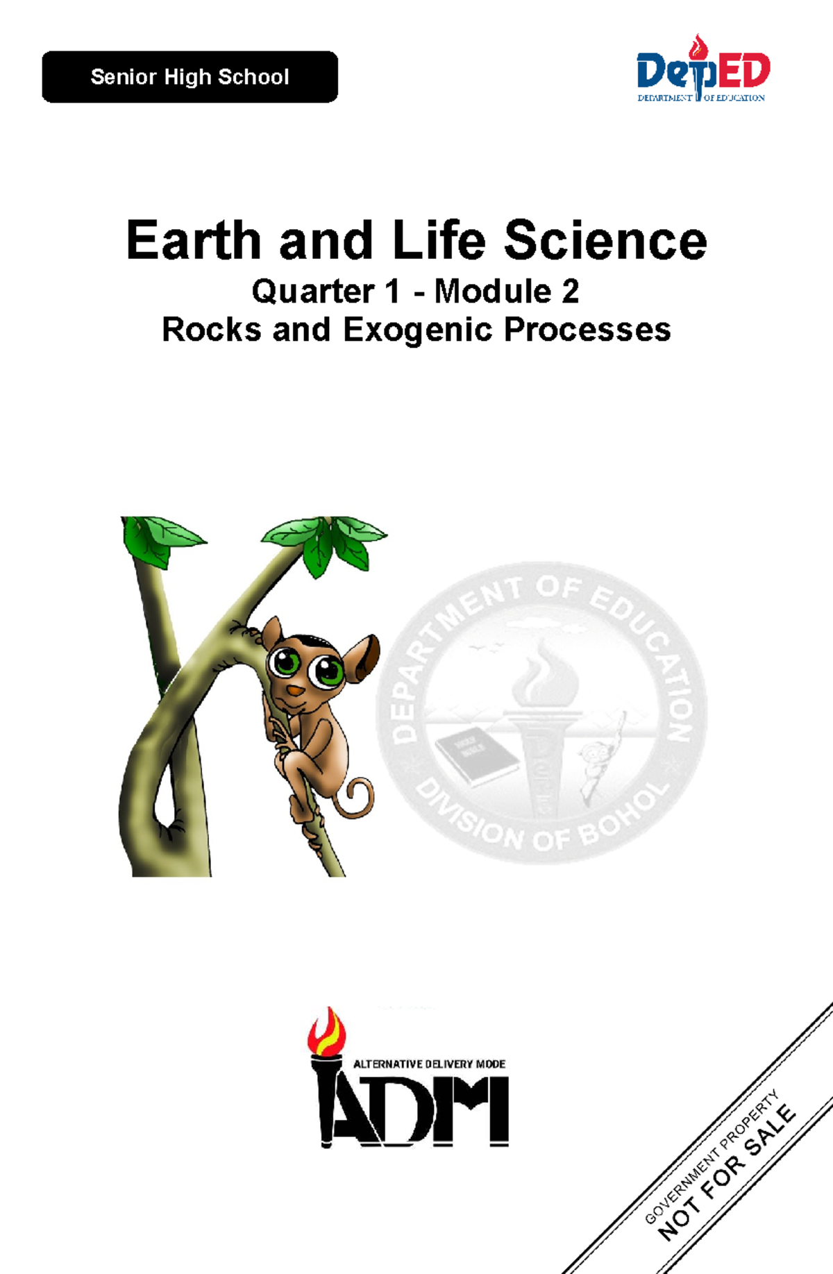 ELS Q1 Module 2: Rocks and Exogenic Processes - Grade 11 - Studocu