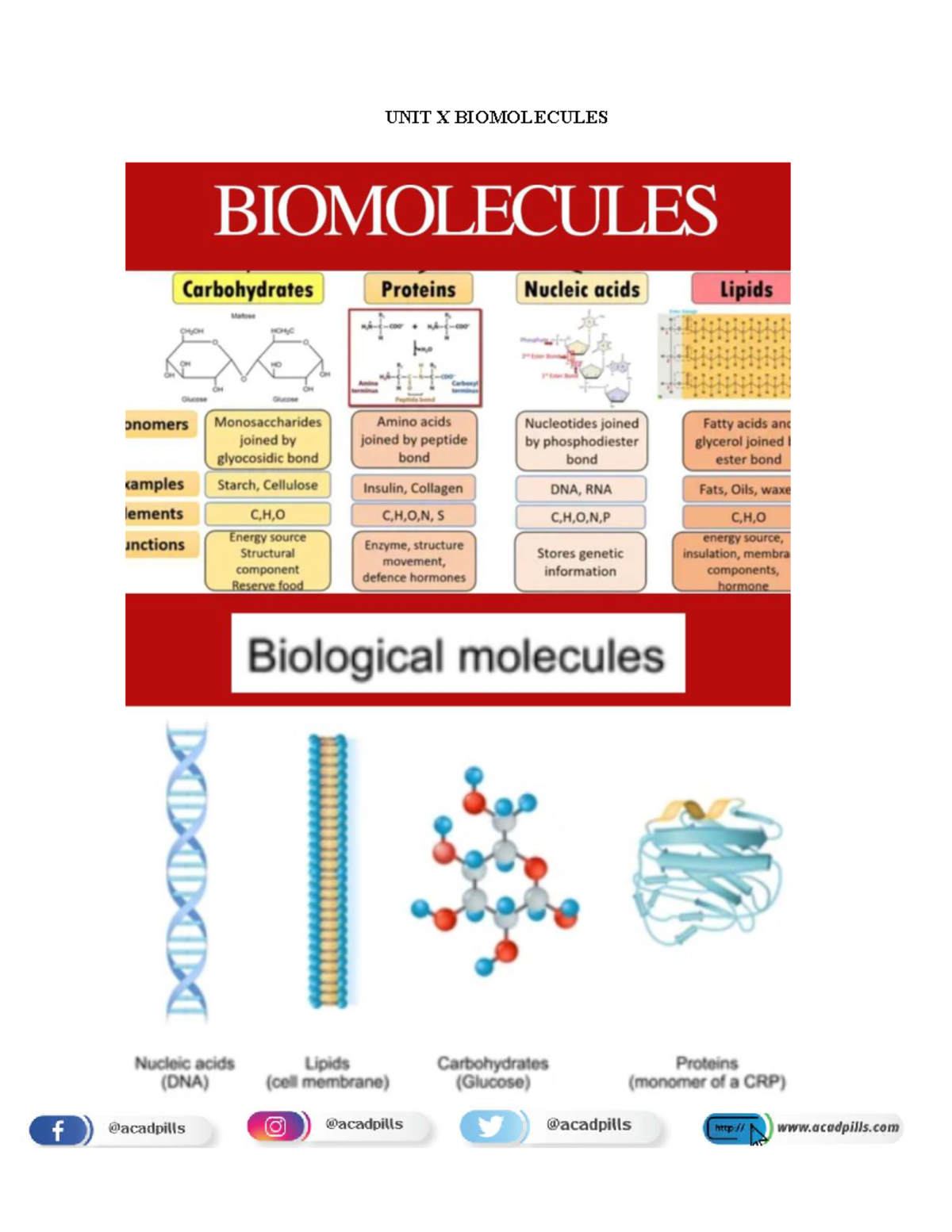 Biomolecules: Structure, Classification, and Functions (Course 122 ...