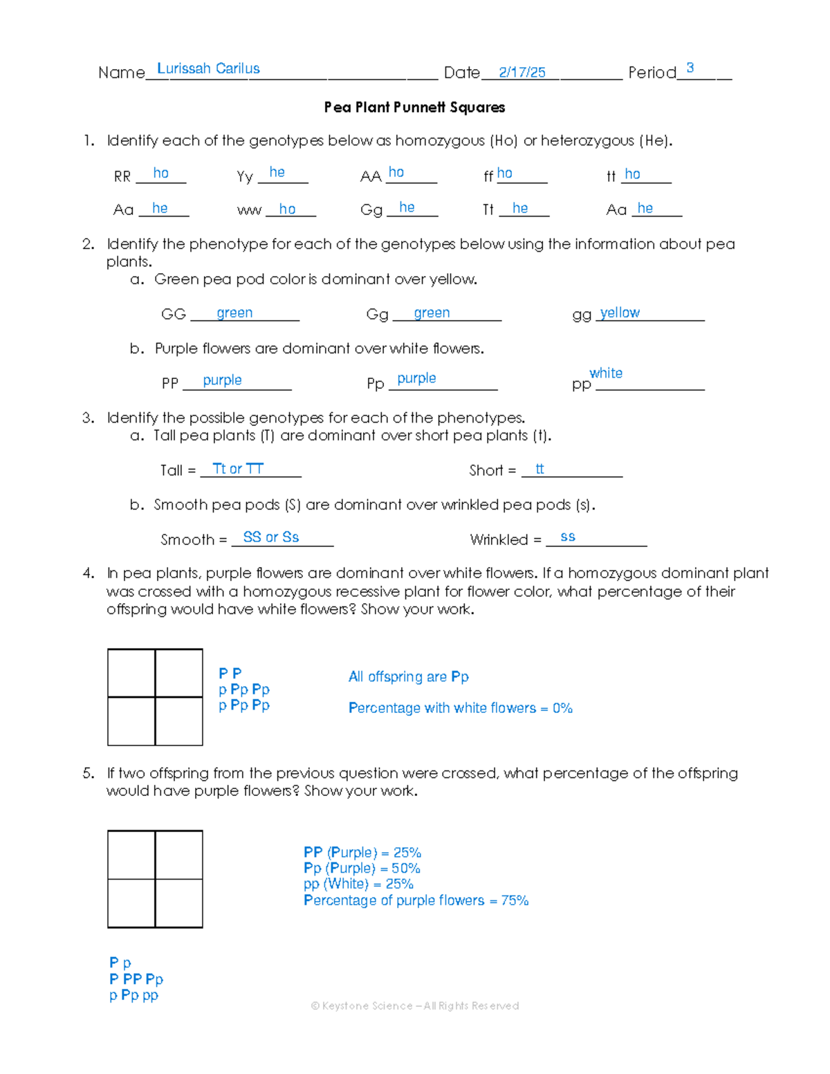 Punnett Square Practice - Genetics Assignment (Final Exam) - Studocu