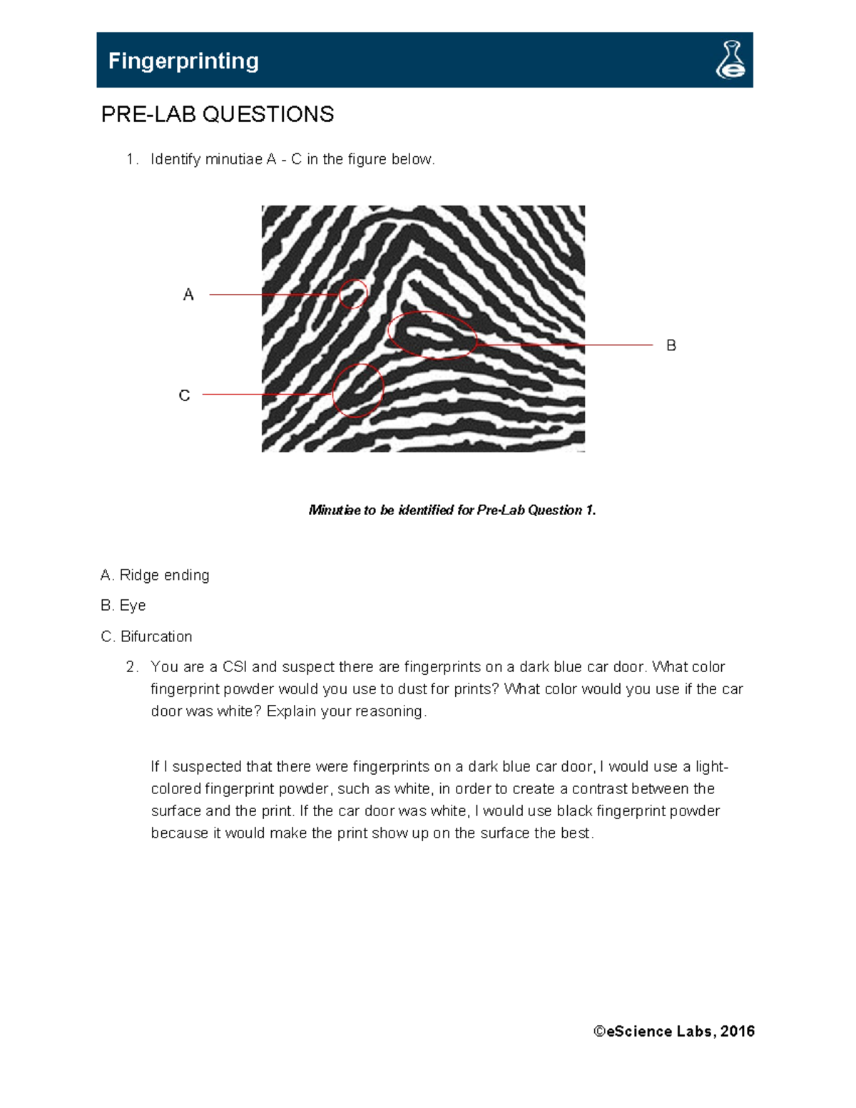 Fingerprinting Lab Questions (Forensic Science 101) - Studocu