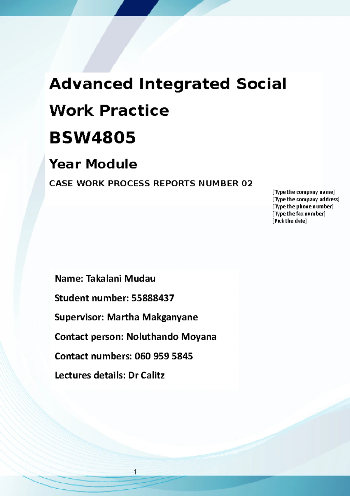 CASE WORK Process Report Report Number 1 - Advanced Integrated Social ...