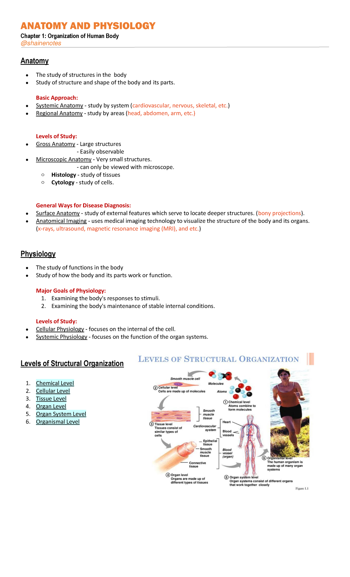 Chapter 1 - The Organization of Human Body - Chapter 1: Organization of ...