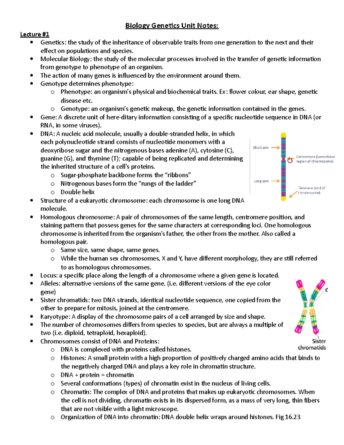 Biology Genetics Unit Notes - Biology Genetics Unit Notes: Lecture ...