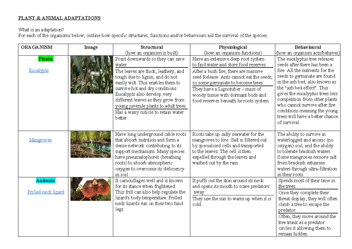 Adaptations in Plants and Animals: Structures and Behaviors Explained ...