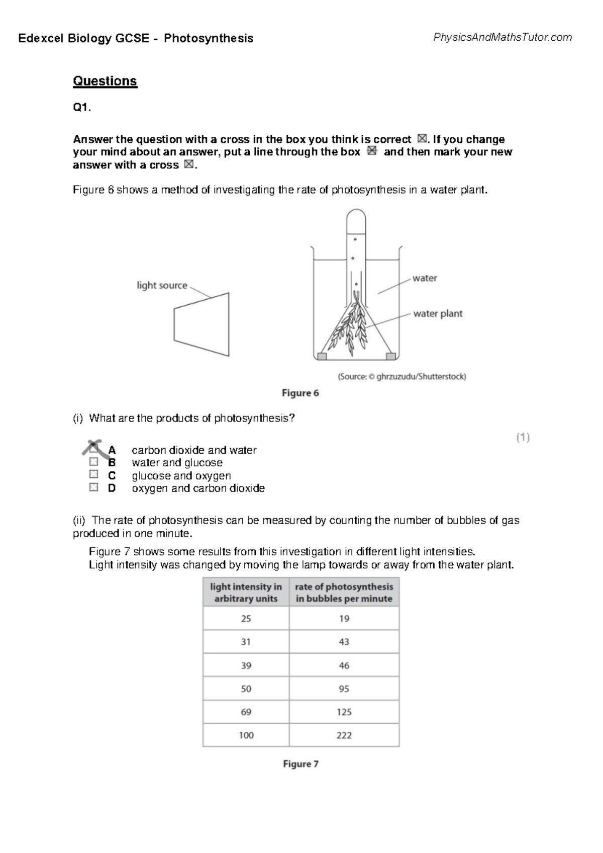 Edexcel Biology GCSE Photosynthesis Study Notes and Questions - Studocu