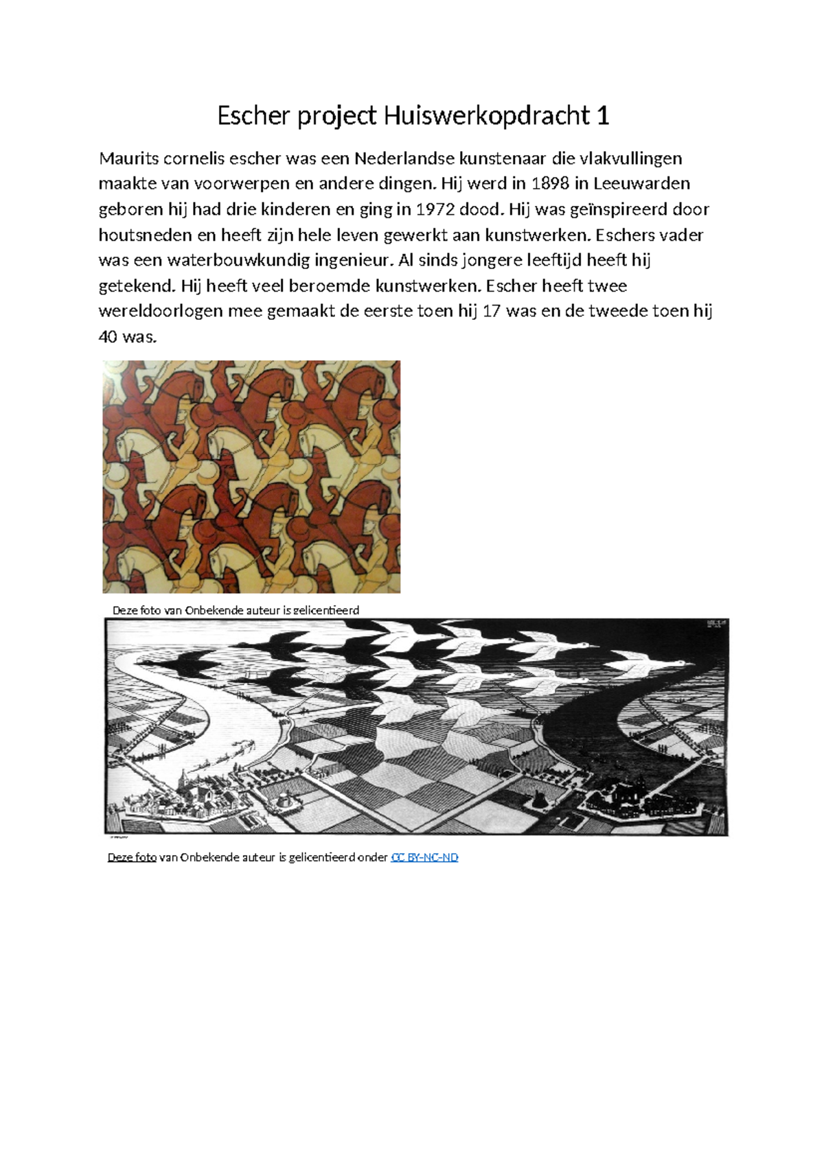 Escher Project Huiswerkopdracht 1: Kunst en Inspiratie van M.C. Escher ...