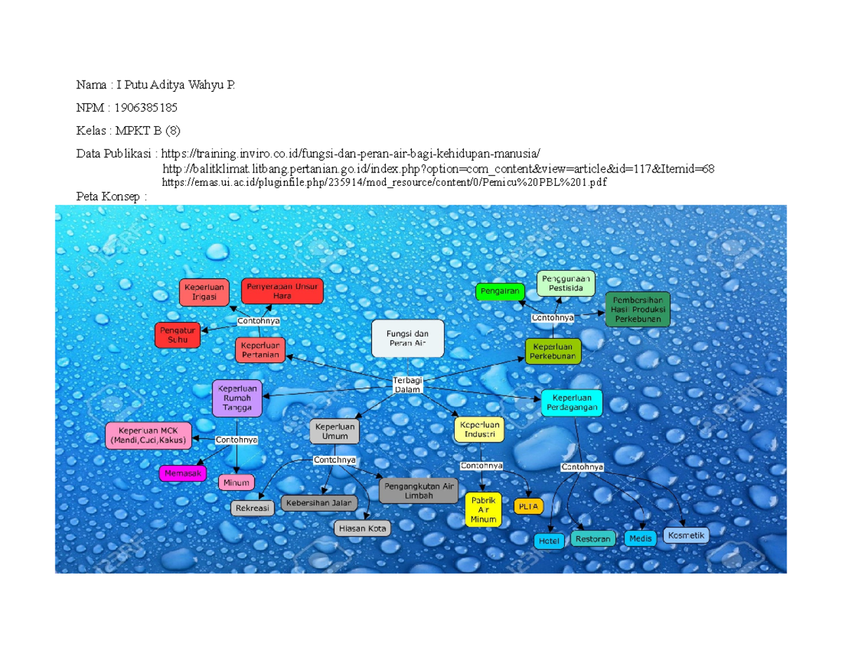 Mindmap Fungsi dan Peran Air - Nama : I Putu Aditya Wahyu P. NPM ...