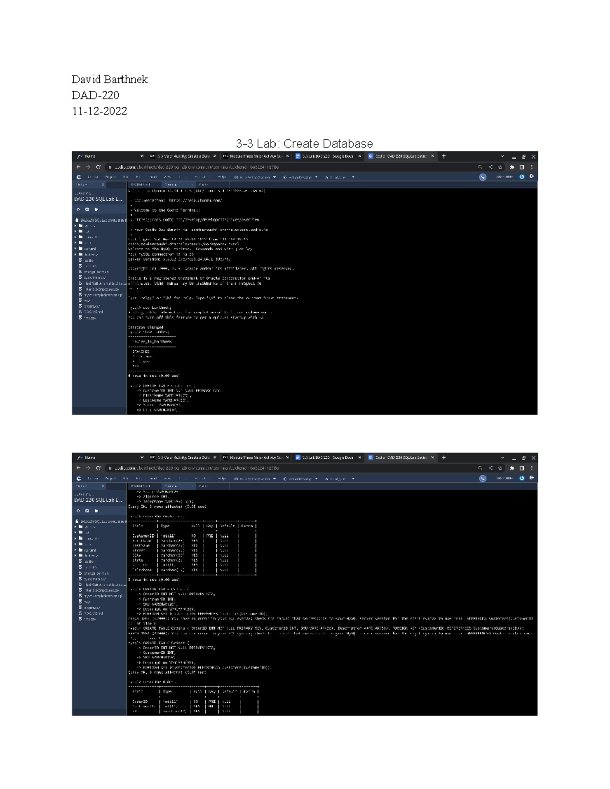 Lab DAD 220 - Database Creation Project Instructions and SQL Guide - Studocu