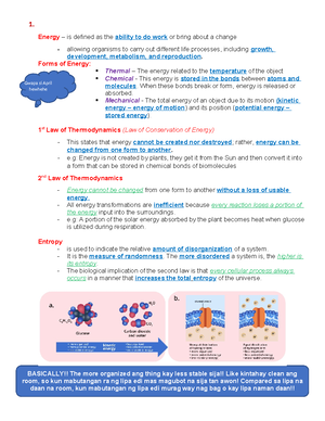 UPCAT Review: The Maroon Bluebook (2018-2020 Edition) - Studocu