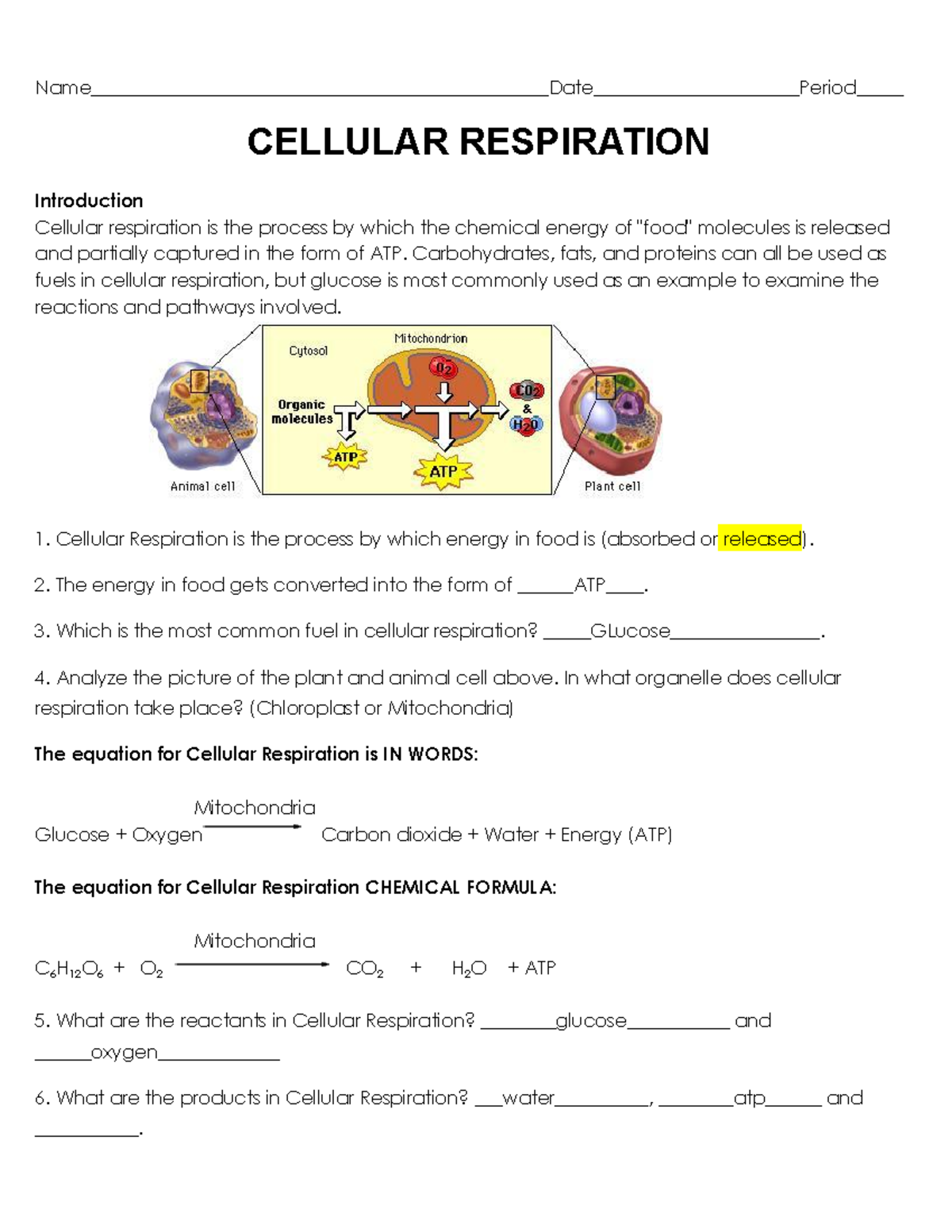 Copy of Cellular Respiration Lab Make Up - - Studocu
