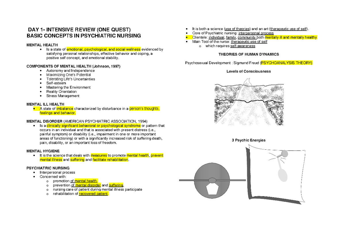 Lecture AID IN Psychiatric Nursing (Psych 101) - Key Concepts ...
