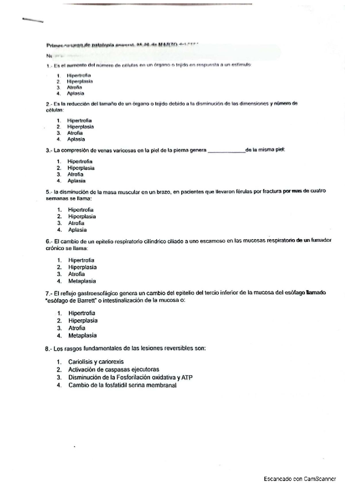 2025-1 Examen 1P de Natología: Hipertrofia, Hiperplasia y Más - Studocu