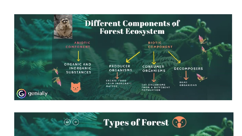 Different Components of Forest Ecosystem (5.2 Science) - Studocu