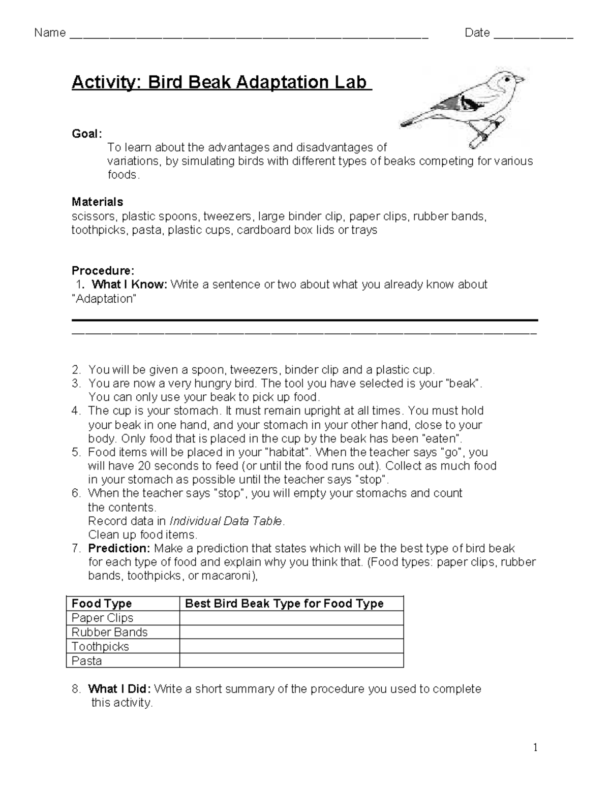 Bird Beak Adaptations Lab: Exploring Feeding Strategies and Techniques ...