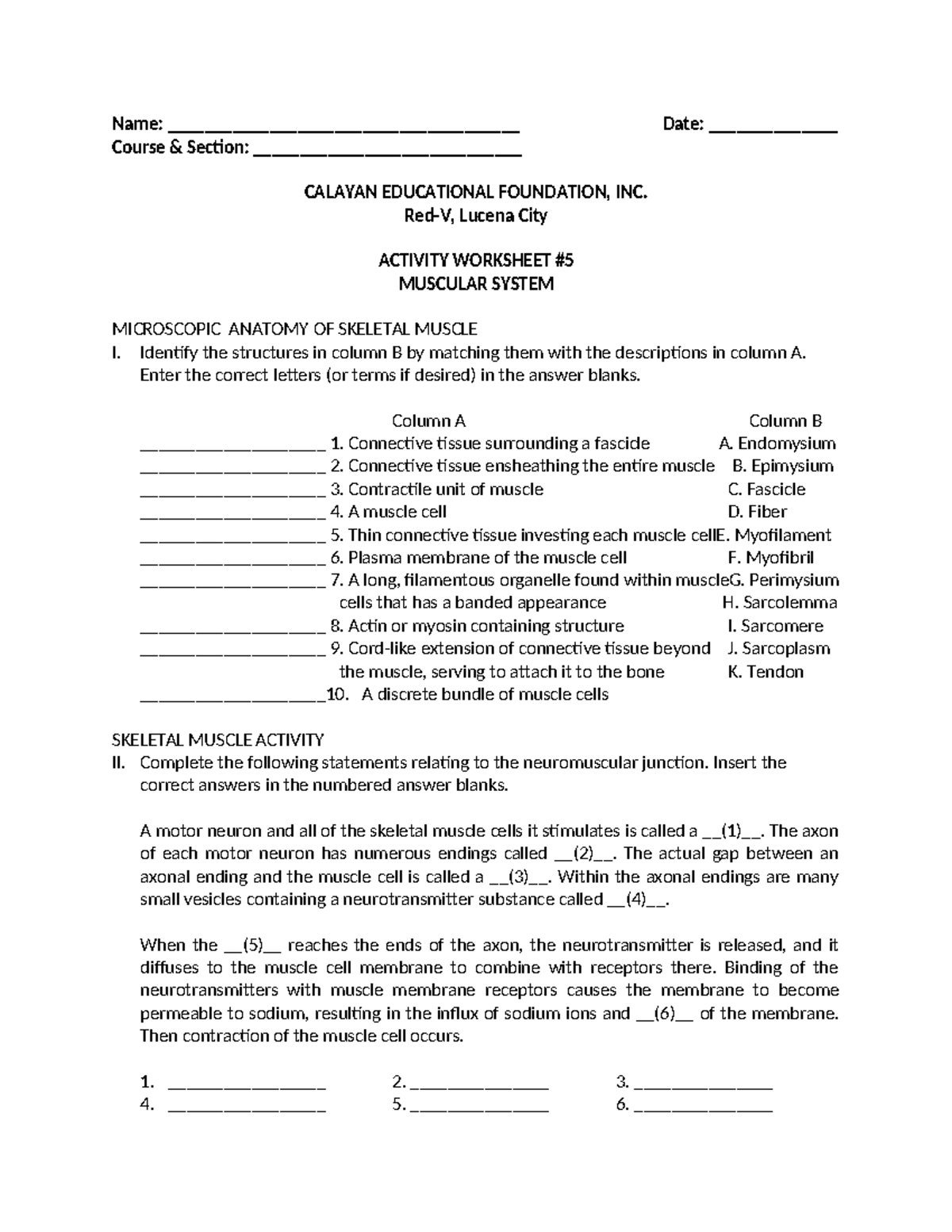 Muscular System Microscopic Anatomy Worksheet (BIO 101) - Studocu