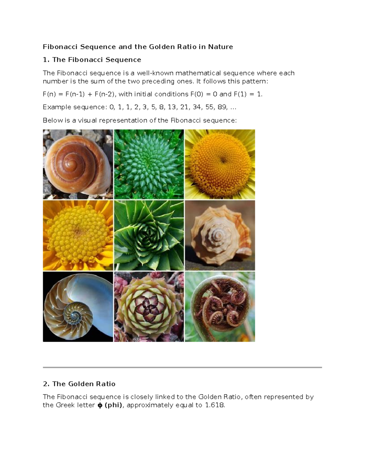 Golden Ratio In Nature Examples With Explanation