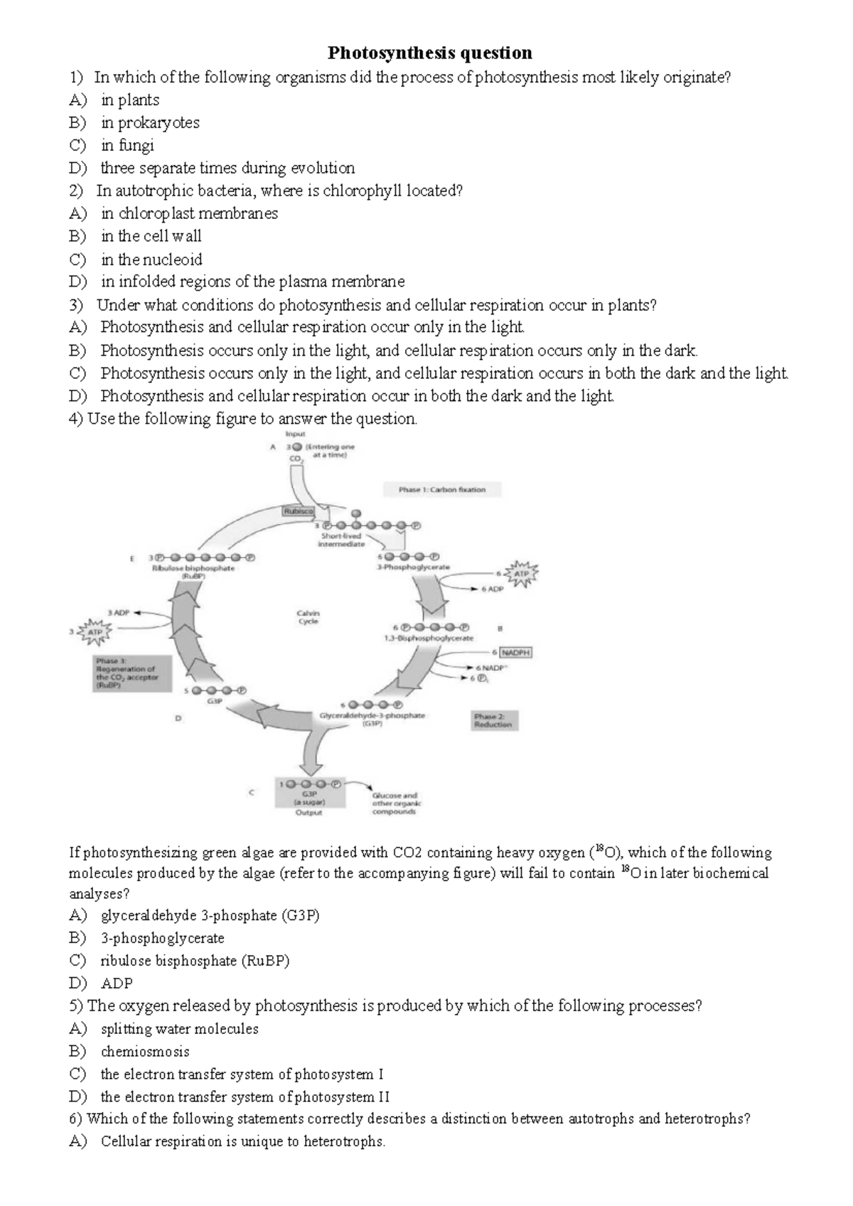HS Photosynthesis Quiz: Key Questions and Concepts - Studocu