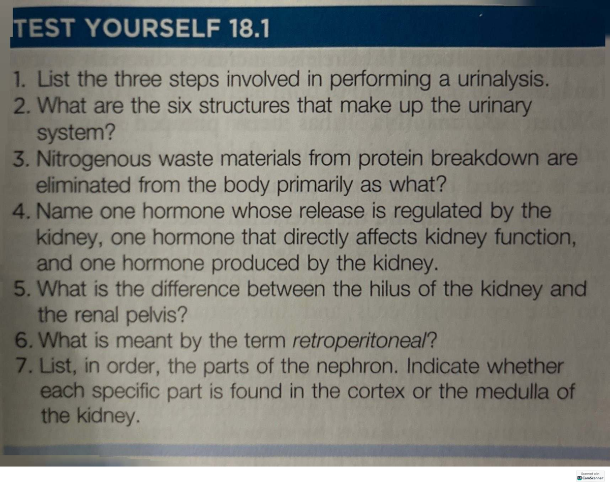 Urinary System Quiz Questions and Answers - Studocu
