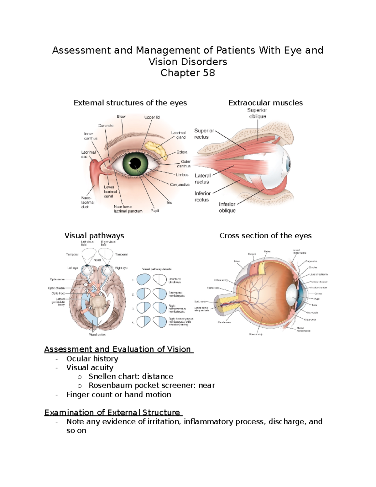 Notes - T4. Assessment & Management of Eye & Vision Disorders - Studocu
