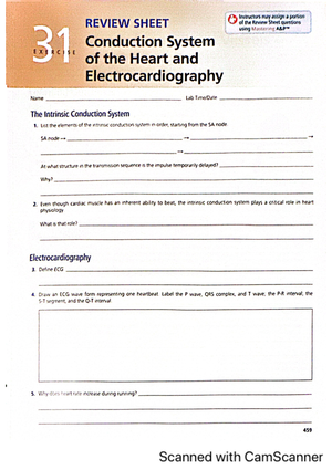 Exercise 35 Review: Lymphatic & Immune System Overview - Studocu