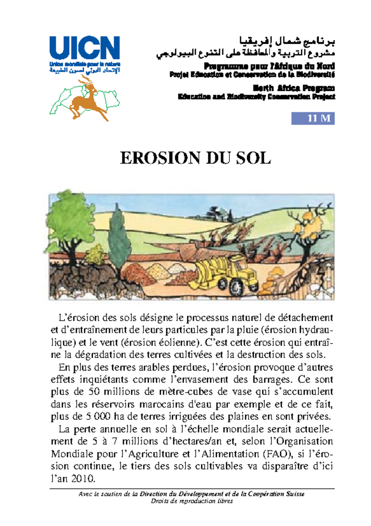 Érosion du sol : Causes, effets et solutions pour la protection des ...