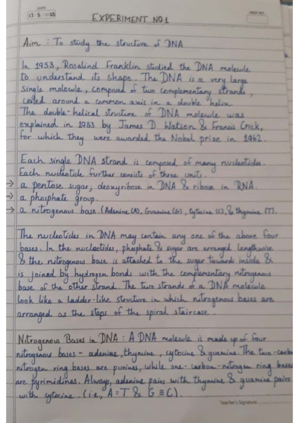 Biology Project Class X: Experiments on DNA, Mitosis, and Transpiration ...