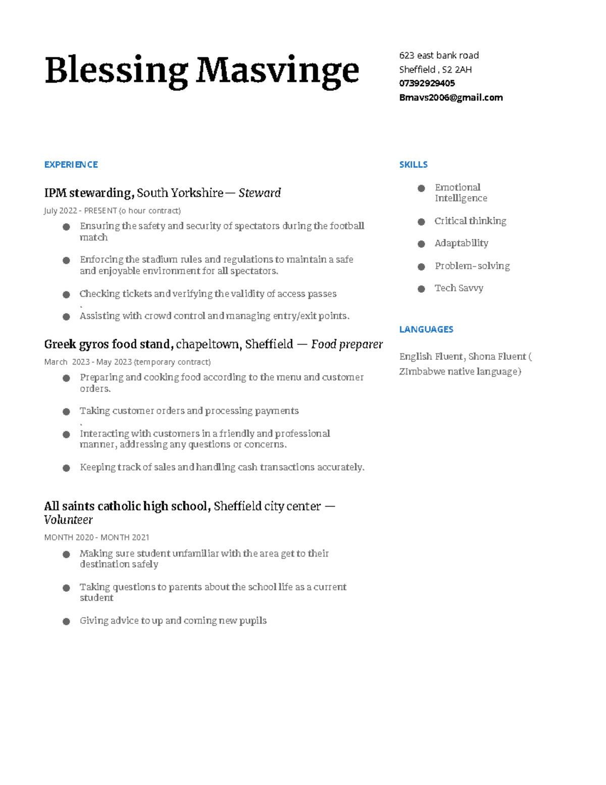 CV - Blessing Masvinge: Professional Profile & Experience Overview ...