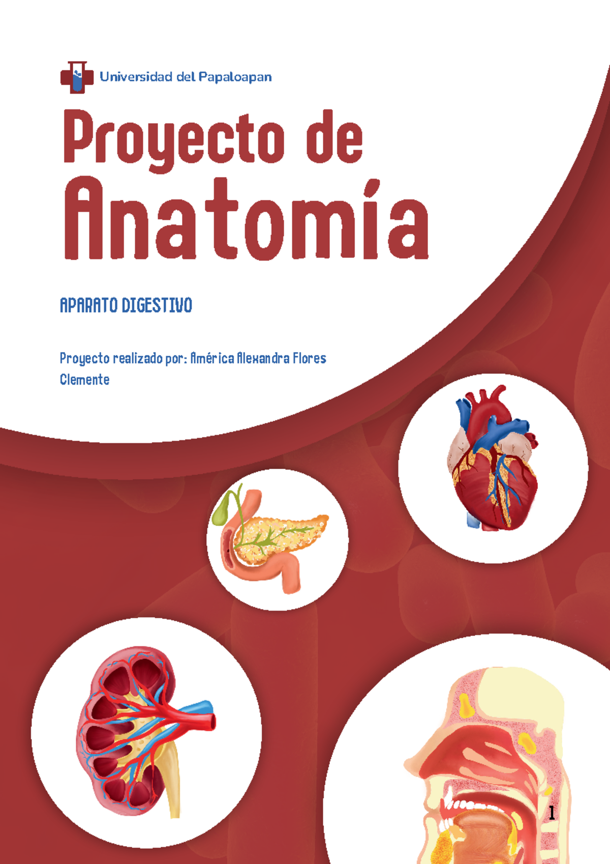 Documento A4 portada de proyecto de anatomía ilustrativo moderno granate - Proyecto de Anatomía ...