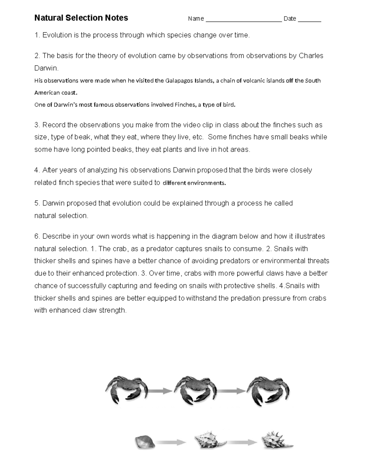 Natural Selection Notes for BIO101: Understanding Evolution and ...