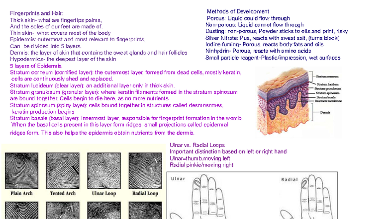 Forensics Csheet: Methods of Development for Fingerprints & Hair ...