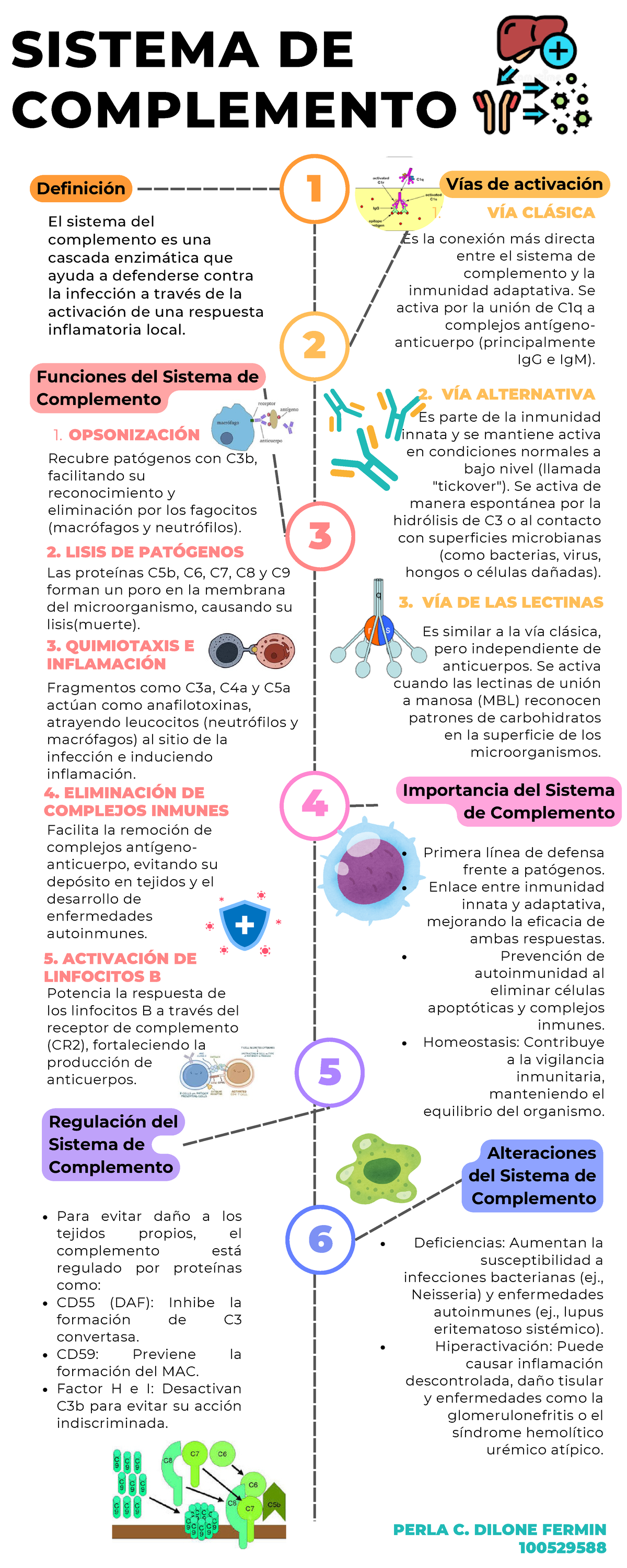 Sistema de complemento - Es la conexión más directa entre el sistema de complemento y la ...