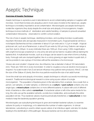 Slant and Broth Growth Patterns BIOZ-303-AOL-SP2023 - Microbiology ...