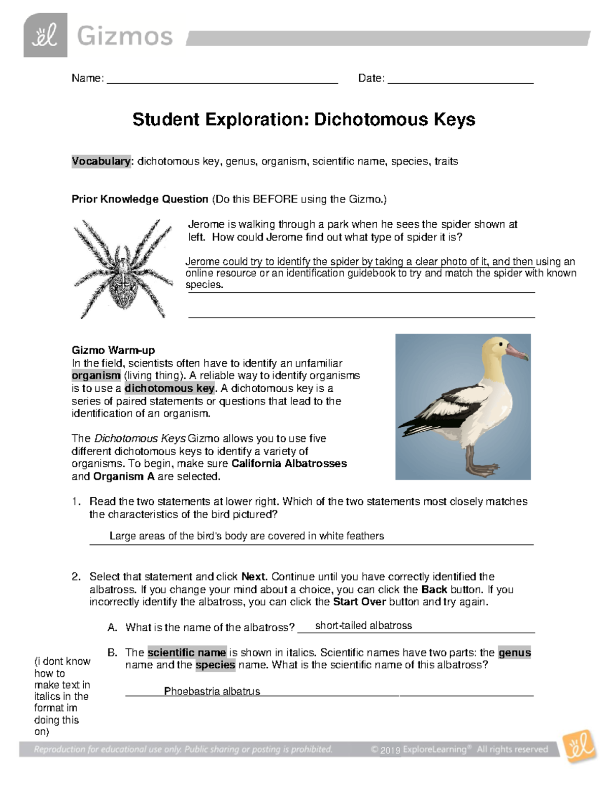 Dichotomous Keys Gizmo SE - Answer Key for Organism Identification ...