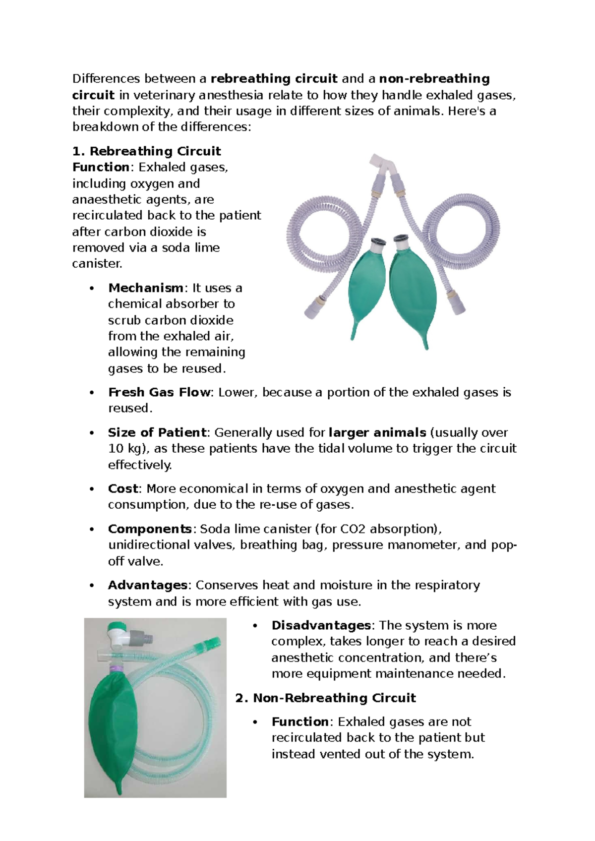 Differences Between Rebreathing & Non-Rebreathing Circuits in Vet ...