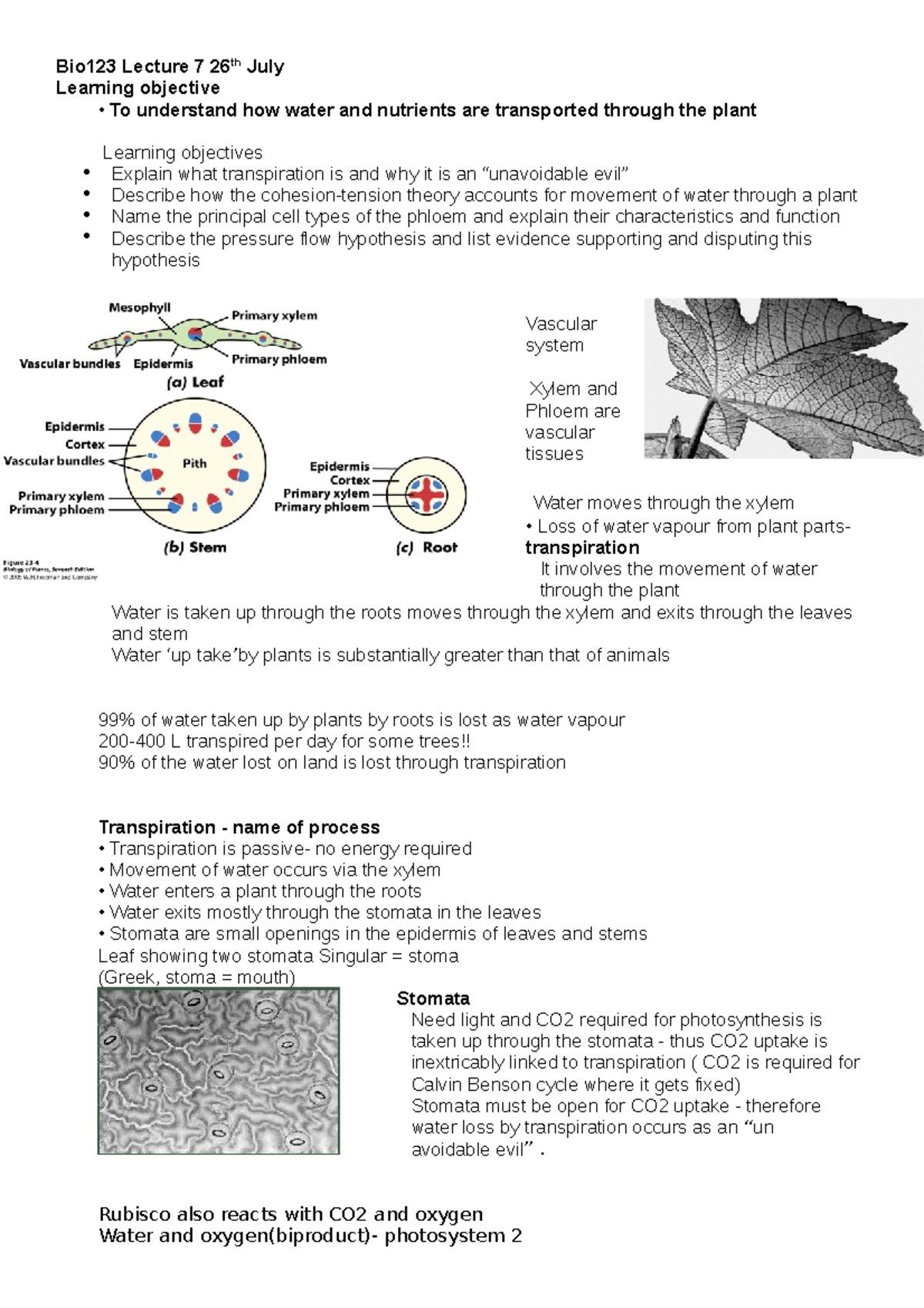 BIOL123 Lecture 7: Plant Water & Nutrient Transport (July 26, 2023 ...