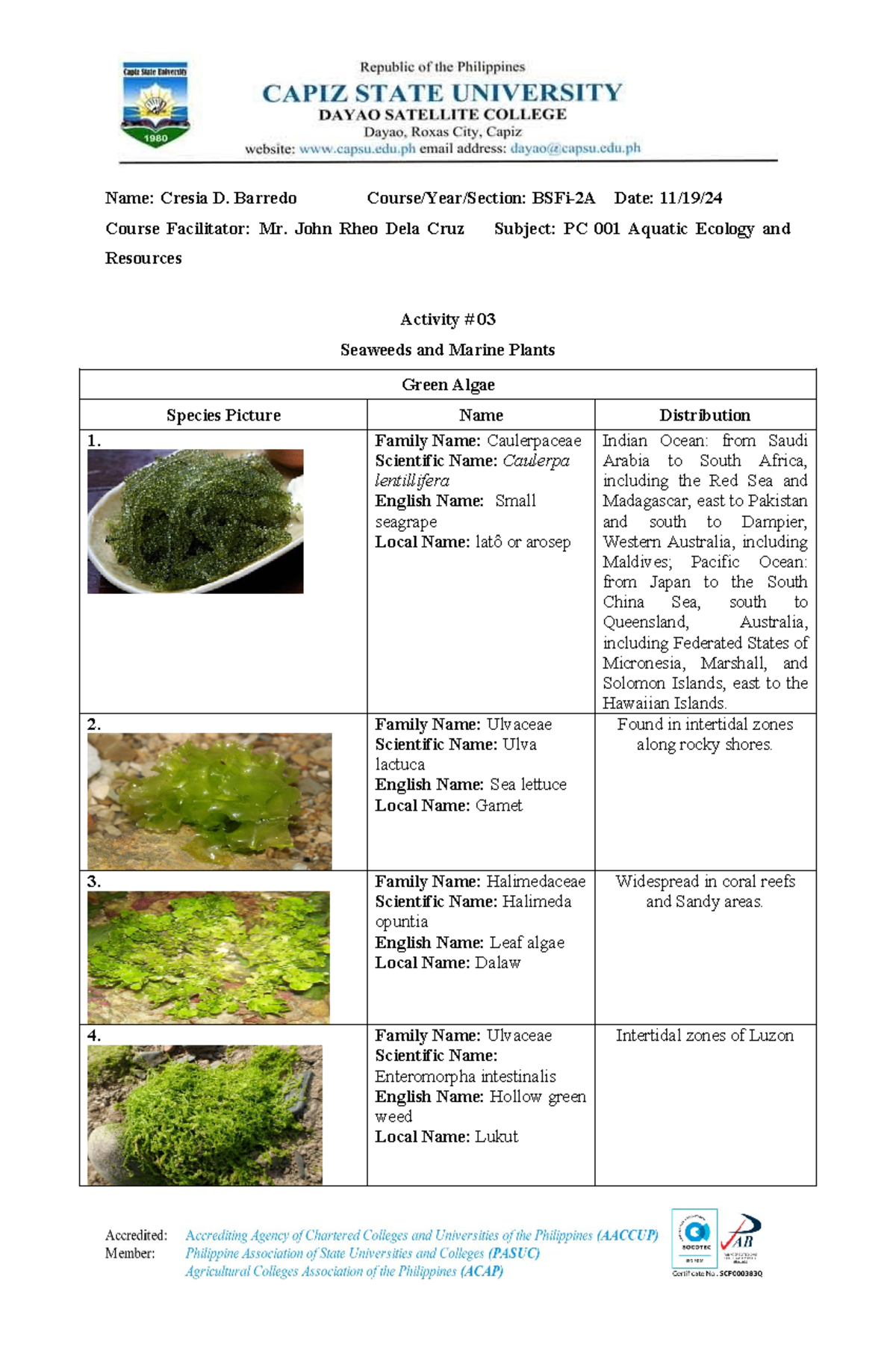 Activity 03 Seaweeds and Marine plants - Name: Cresia D. Barredo Course ...