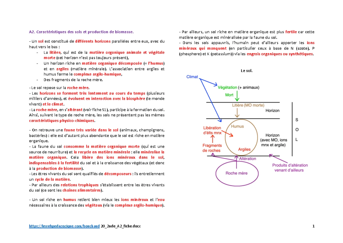 SVT Cours Chapitre 5 : Fonctionnement du Système Immunitaire - Studocu