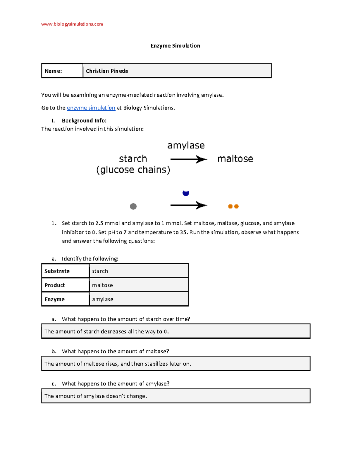 Enzyme Simulation Experiment: Amylase Activity Analysis - Studocu