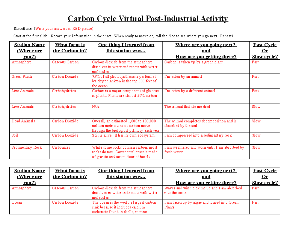 Activity - Exploring the Carbon Cycle Post-Industrial Stations - Studocu