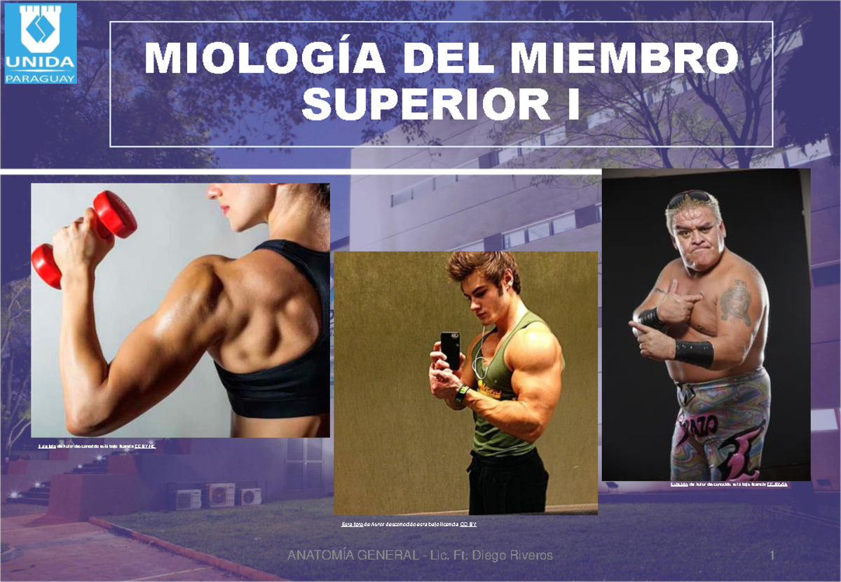 Miología del Miembro Superior I - MIOLOGÍA DEL MIEMBRO SUPERIOR I ...