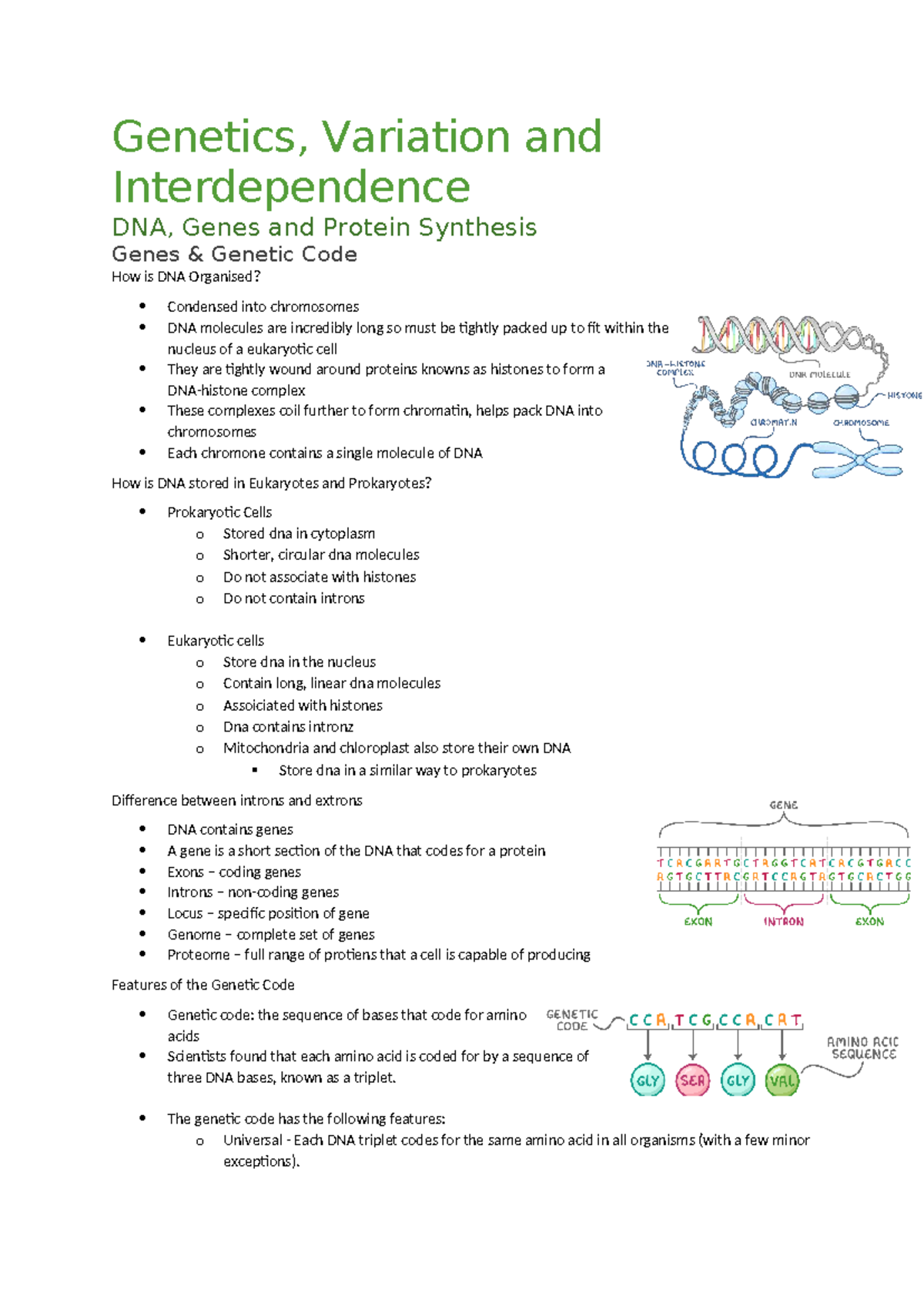 Genetics - AQA A-Level Biology: DNA, Genes & Protein Synthesis Notes ...