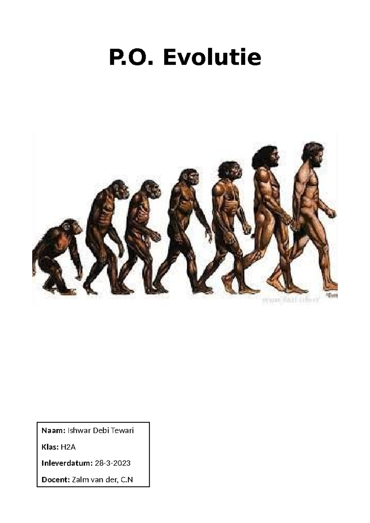 Evolutietheorie H2A Essay over Darwin en Natuurlijke Selectie P.O. MN ...