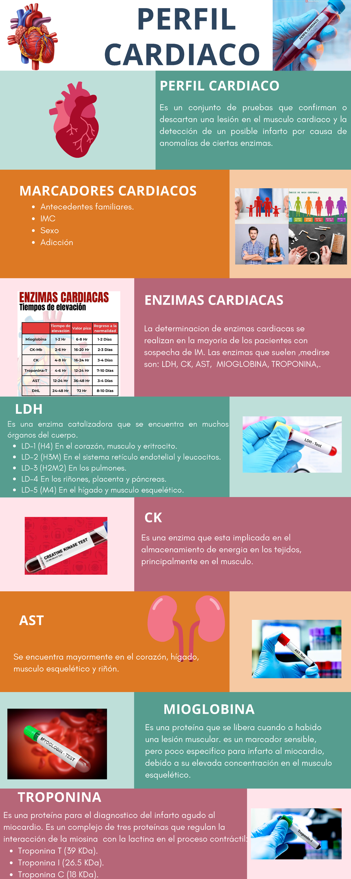 Infografía perfil cardiaco - PERFIL CARDIACO LDH La determinacion de ...