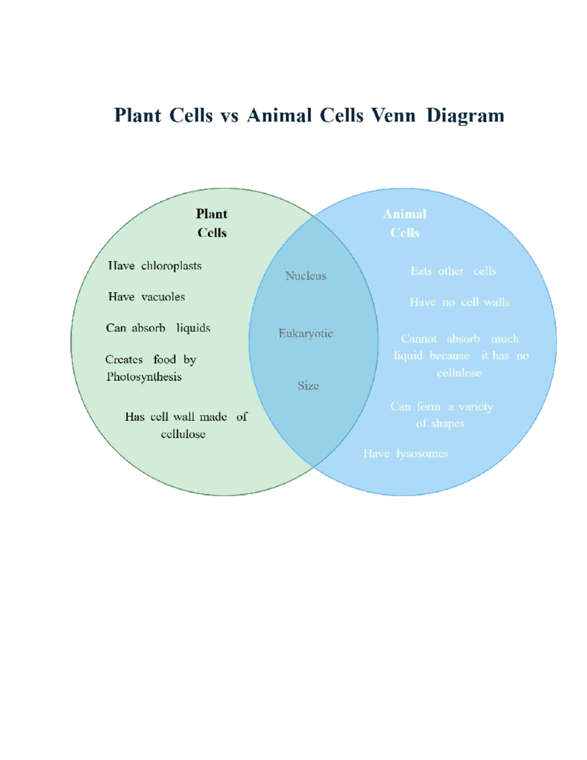 Differences Between Plant And Cells Venn Diagram - Infoupdate.org