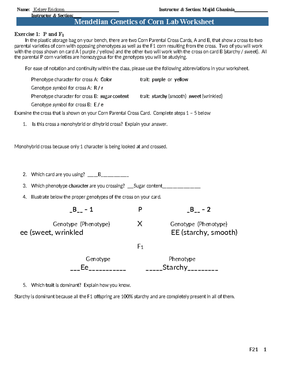9 Mendelian Genetics of Corn worksheet F21 - Name: Kelsey Erickson ...