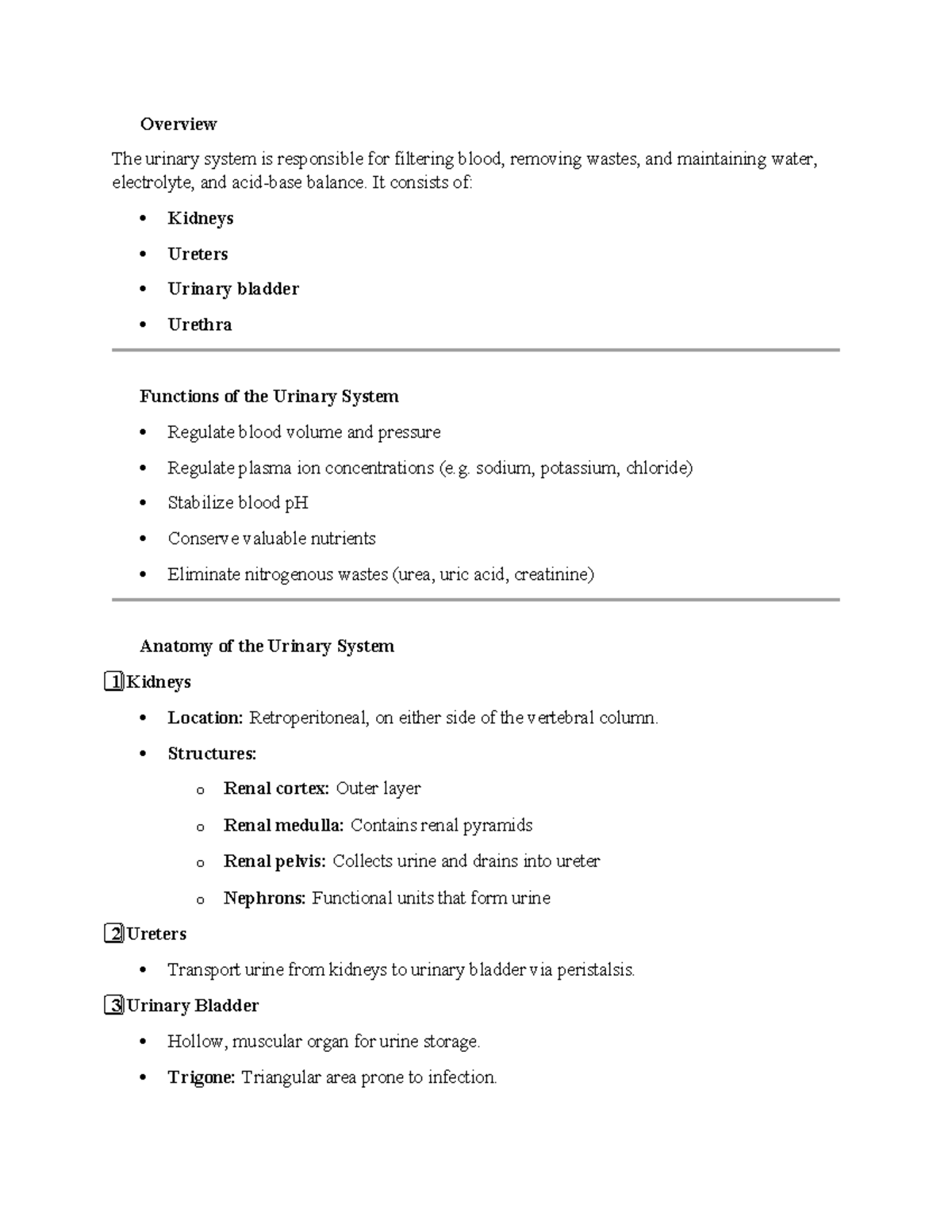 Urinary System Overview: Anatomy & Functions Guide (BIO 101) - Studocu