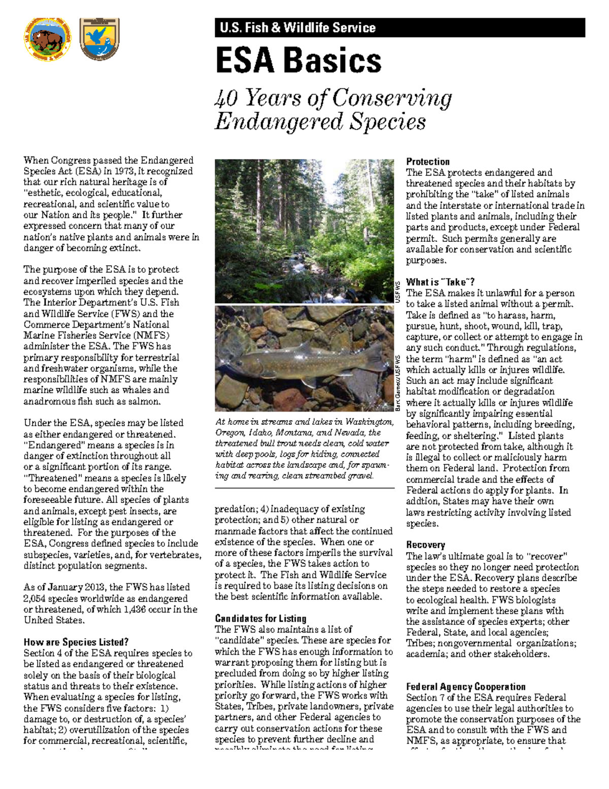 Endangered Species Act (ESA) Overview: Conservation Tools & Strategies ...