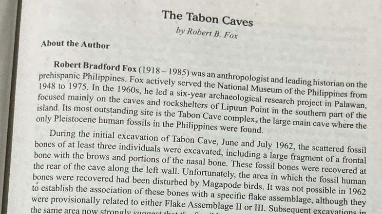 Tabon Caves: Insights into Pleistocene Human History and Artifacts ...